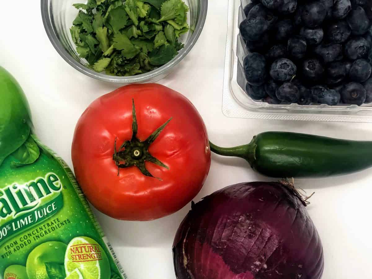 Blueberry Salsa - Abundance of Flavor